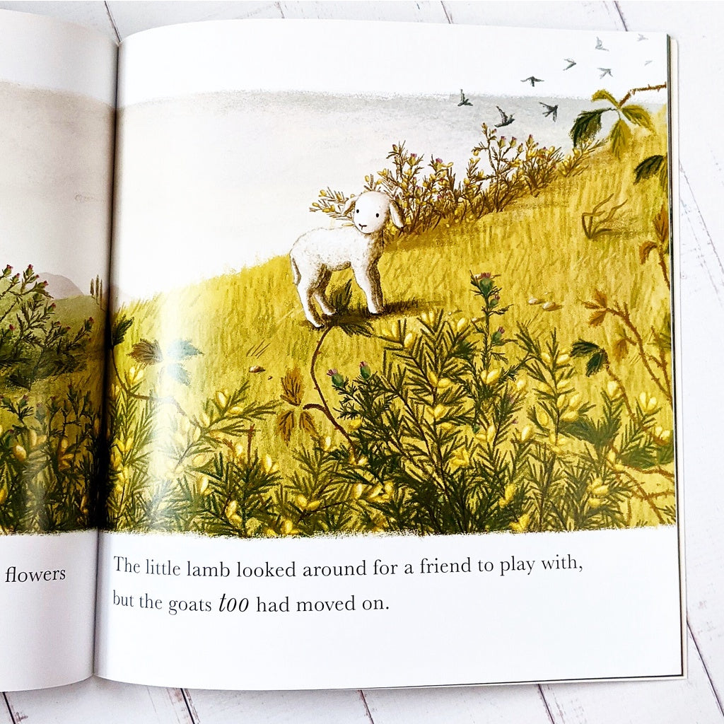 The Not So Very Lost Lamb – Little Bible Box